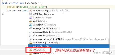 springboot中数据库的连接及mybatis的配置和使用 springboot mybatis 数据库连接配置 csdn博客