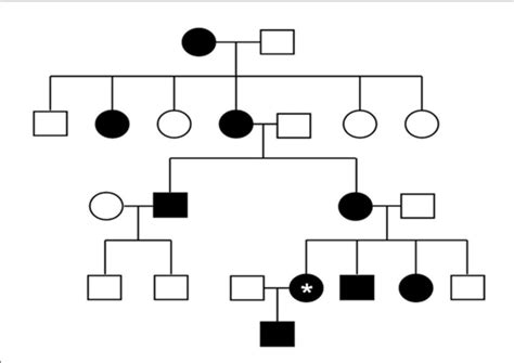 X Linked Dominant Pedigree Genotypes