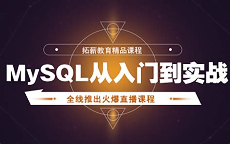 mysql 入门到精通 mysql教程 哔哩哔哩 bilibili