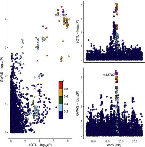 shared genetic etiology at the lpl locus locuscompare plot depicting download scientific