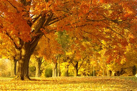 1080p HD Image Nature PixelsTalk Net
