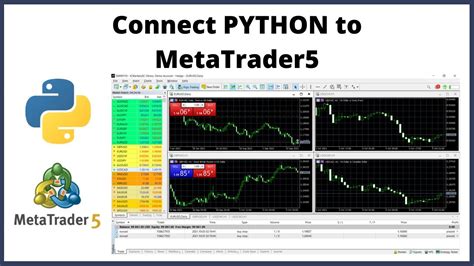 Connect Python To MetaTrader5 YouTube
