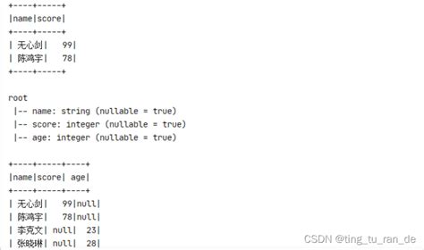 spark大数据处理讲课笔记4 3 spark sql数据源 parquet文件 spark read parquet csdn博客