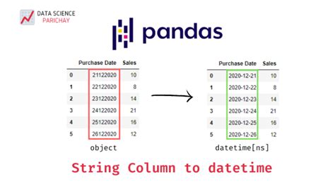 Pandas Extract Year From A Datetime Column Data Science Parichay