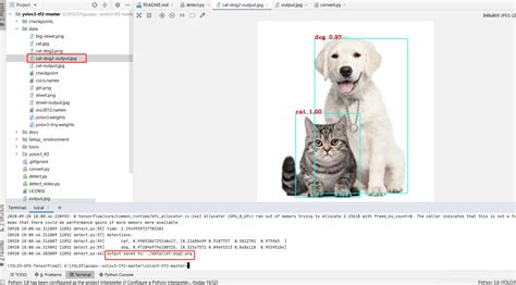 yolov3物体 目标检测之实战篇（windows系统、python3、tensorflow2版本） python黑洞网