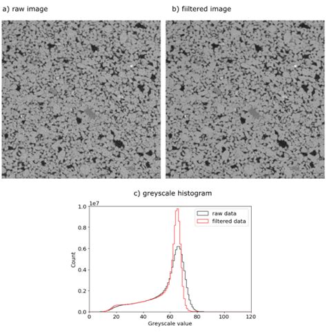 a raw image b image filtered with a non local means filter and c download scientific