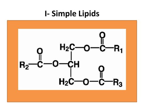 Lipid Simple English Wikipedia The Free Encyclopedia