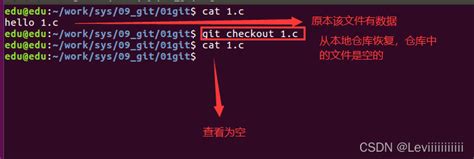 [git] linux下的git操作 linux git csdn博客
