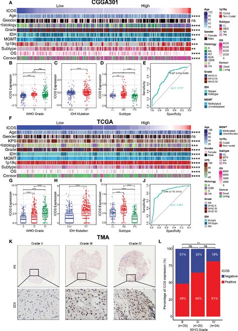 Figure 1 From Transcriptome Profile And Clinical Characterization Of