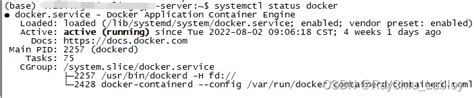 ubuntu18 04安装nvidia docker csdn博客