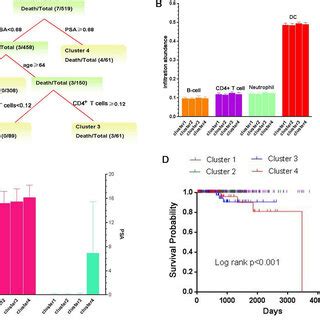 The Distinct Classes By Combining Immune Cells Infiltration And