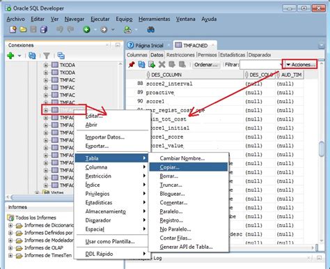 Análisis y Programación Primeros pasos con Oracle SQL Developer