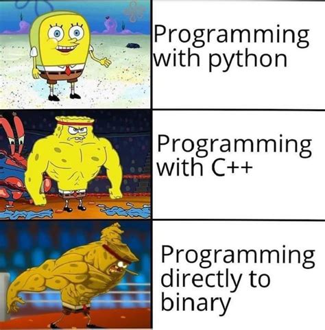Programming Memes Thunder Dungeon The Funniest Memes