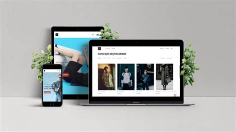 develop your projects with using nodejs and reactjs or vuejs by tufankilinc fiverr