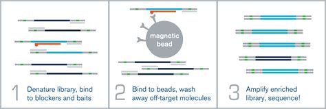 Targeted Next Generation Sequencing Kits Arbor Biosciences