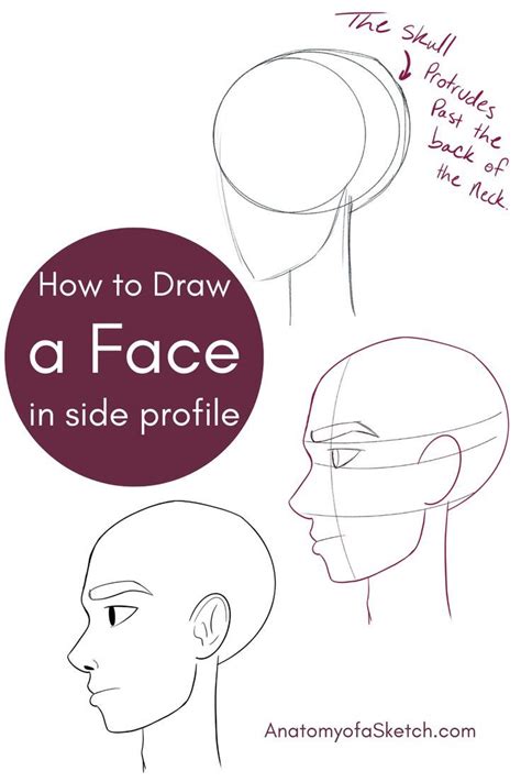 How To Draw A Side Profile Art How To Draw A Mans Face Male Side