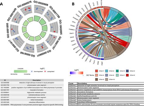 Functional Enrichment Analyses Of Darkgrey Module A Top 15 Terms From