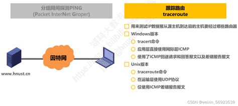 网络层复习 csdn博客