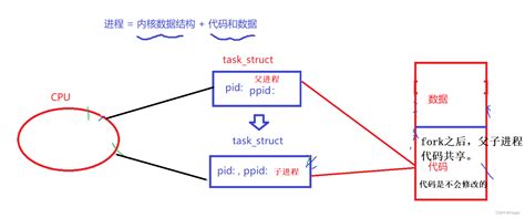 【linux】fork函数的基础知识 fork返回值 csdn博客