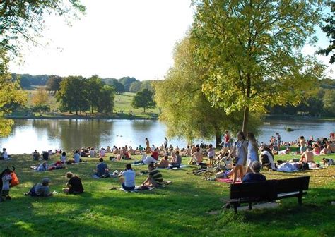 Hampstead Heath Outdoor Sex Cruising Telegraph