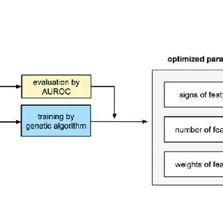 Data Curation Workflow A Schematic Diagram Of How Data For Training