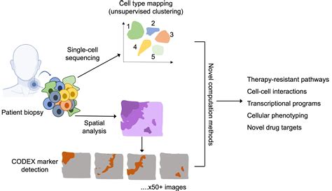 genes free full text high dimensional single cell transcriptomics in melanoma and cancer