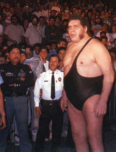 André The Giant Wikipedia