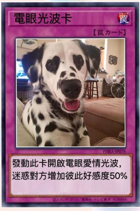 不可以瑟瑟是什么梗 不可以瑟瑟出处 不可以瑟瑟卡表情包 佩琪手游网