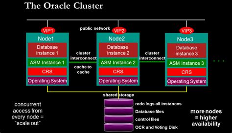 oracle rac体系结构图 csdn博客