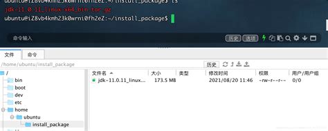 ubuntu安装jdk11并配置环境变量（手动解压方式） csdn博客