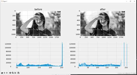 opencv入门（二十三）快速学会opencv 22 直方图 opencv图片矩阵横纵坐标代表森马 csdn博客