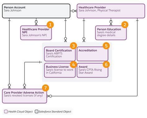 Learn About The Provider Data Model Unit Salesforce Trailhead Lupon
