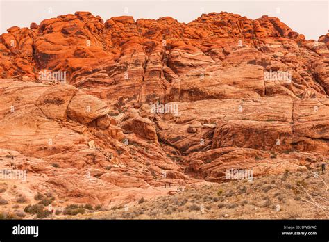Red Rock Conservation Area In Nevada Usa America Fotografías E Imágenes De Alta Resolución Alamy