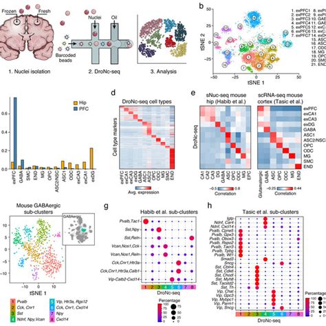 pdf massively parallel single nucleus rna seq with dronc seq
