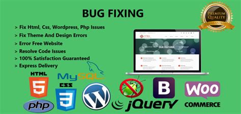 fix bugs in your php mysql html css and wordpress website by usama amir fiverr