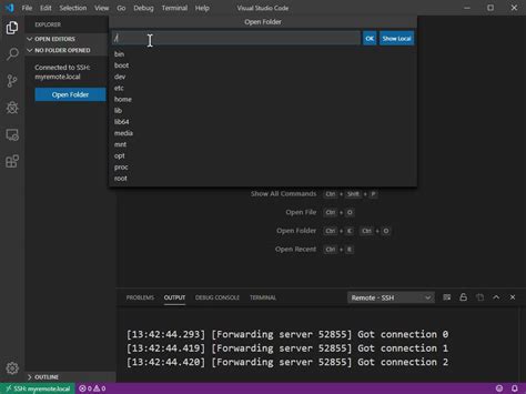 How To Connect Visual Studio Code On Server Via Ssh From Windows MacOS