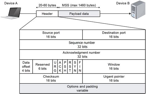 Tcp Frame Format Webframes Org