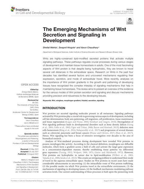 PDF The Emerging Mechanisms Of Wnt Secretion And Signaling In Development
