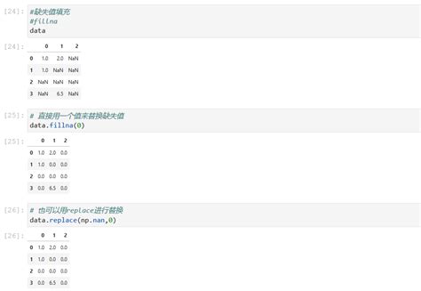 pandas学习笔记04 数据清洗 缺失值与异常值处理 pandas 缺失值异常值 csdn博客