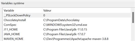 Windows Mvn Commands Always Get Java Error With Not Recognized As