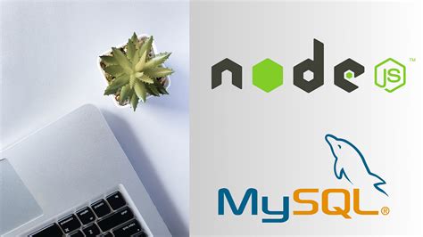 connecting node js and mysql a simple guide for robust applications by vijaya kumar medium