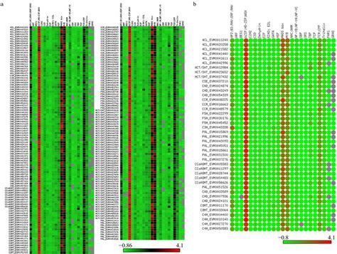 Motif Analysis Of Promoter Regions Of The Lignin Biosynthesis Genes