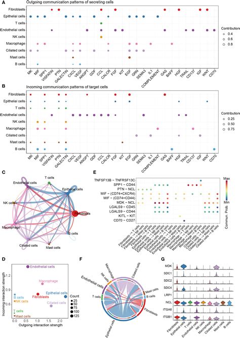 Frontiers Integrating Single Cell RNA Seq And Spatial Transcriptomics