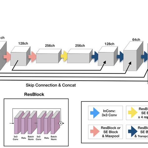 modified u net architecture with se block or resblock for pca segmentation download