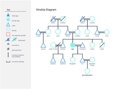 Kinship Diagram Generator How To Make A Kinship Chart Online