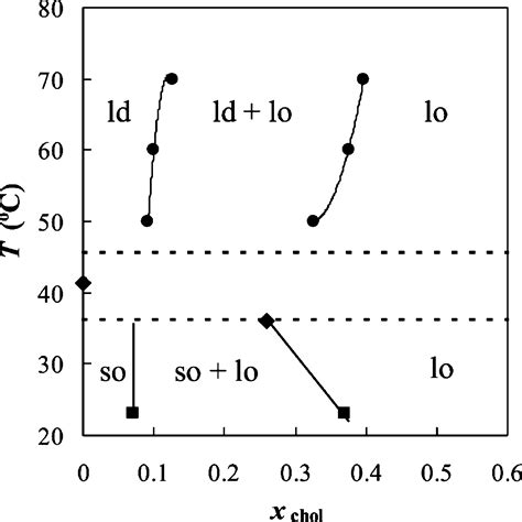 Sphingomyelin Phosphatidylcholine Cholesterol Phase Diagram Boundaries