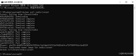 windows中使用docker安装redis net之緣的技术博客 51cto博客