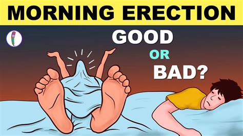 Morning Erection