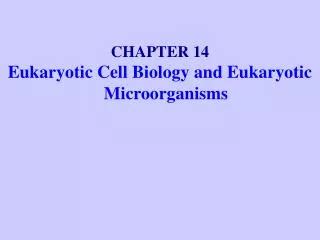 PPT CHAPTER 2 MICROORGANISMS FRIEND AND FOE PowerPoint