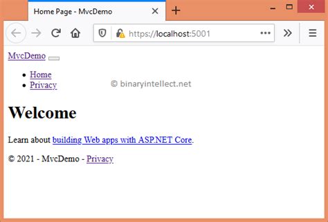 Configure Application Startup In ASP NET Core 6 BinaryIntellect